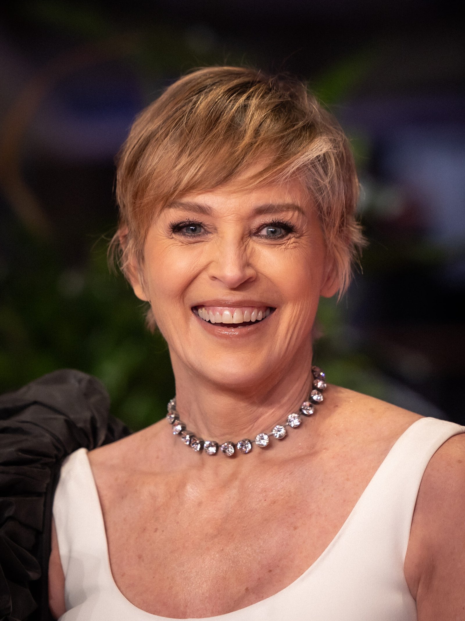 Fortune de Sharon Stone : Star internationale